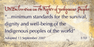 United Nations Declaration on the Rights of Indigenous Peoples | OC ...